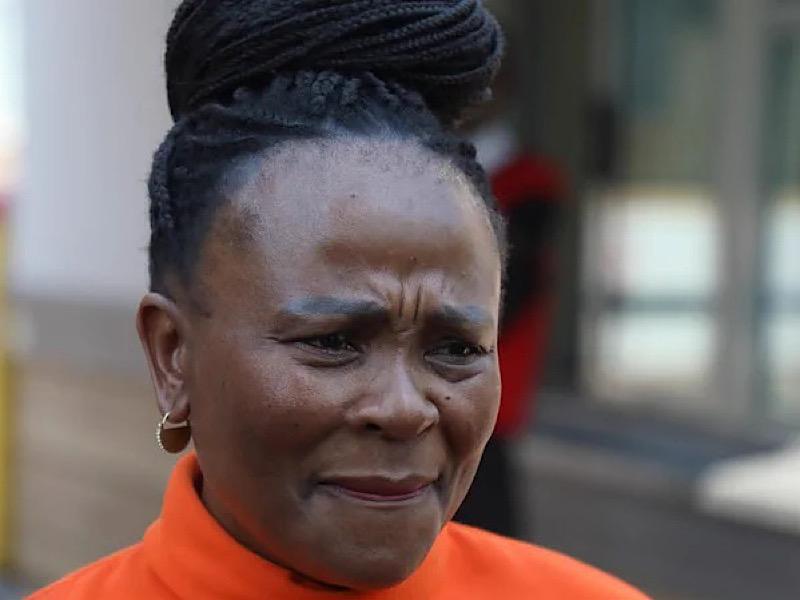 Zigcwale udaka kuMkhwebane | Scrolla Izindaba