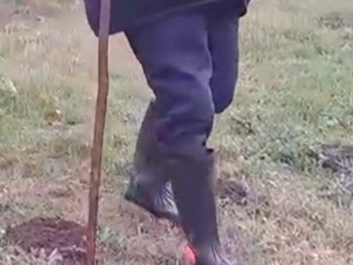 Umzukulu usolwa ngokudlwengula umkhulu wakhe ona 86 | Scrolla Izindaba