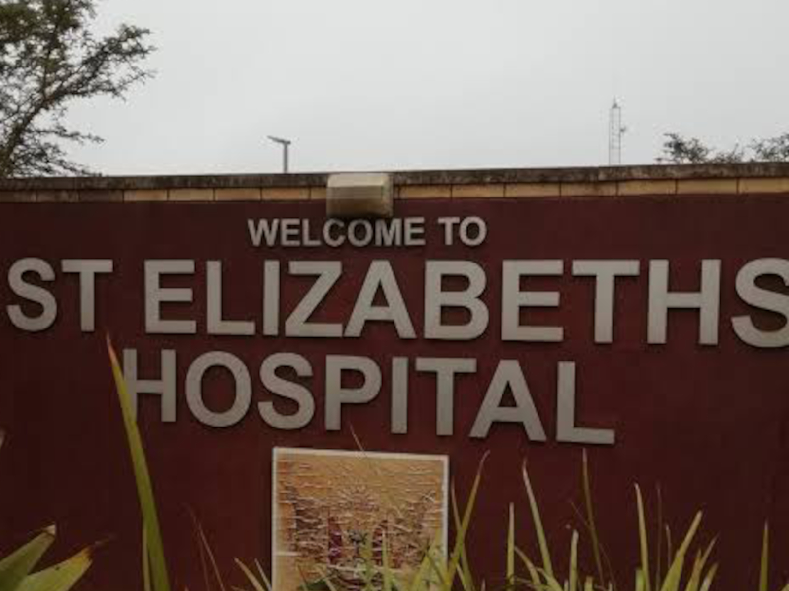 Kuhlasele isigebengu esibhedlela sase-Eastern Cape | Scrolla Izindaba
