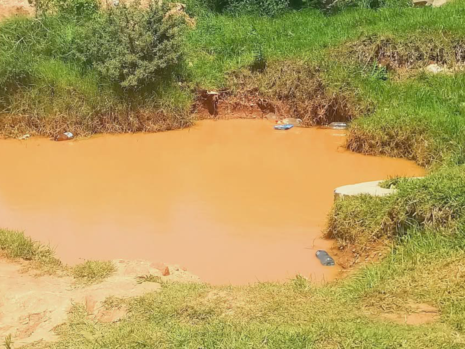 Kuminze kwashona izelamani edamini | Scrolla Izindaba