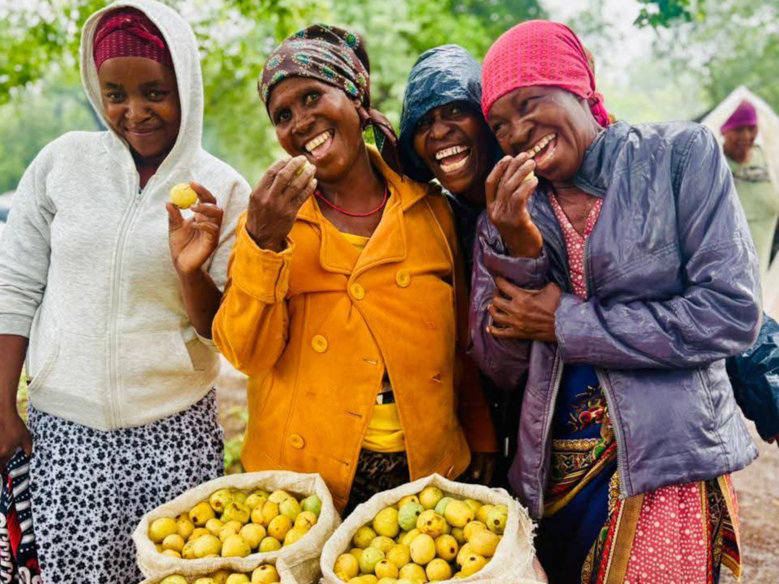 Isikhathi sokuvuna aMaganu sisiza omama bondle izingane zabo | Scrolla ...